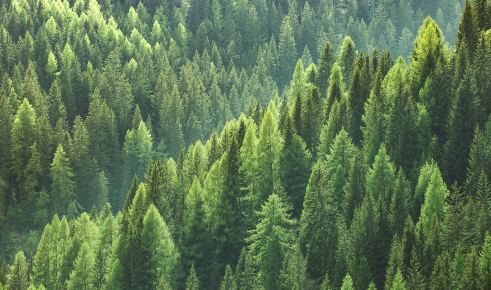 BayPine Acquires Clinical Trial Network CenExel, Plans Digital ...