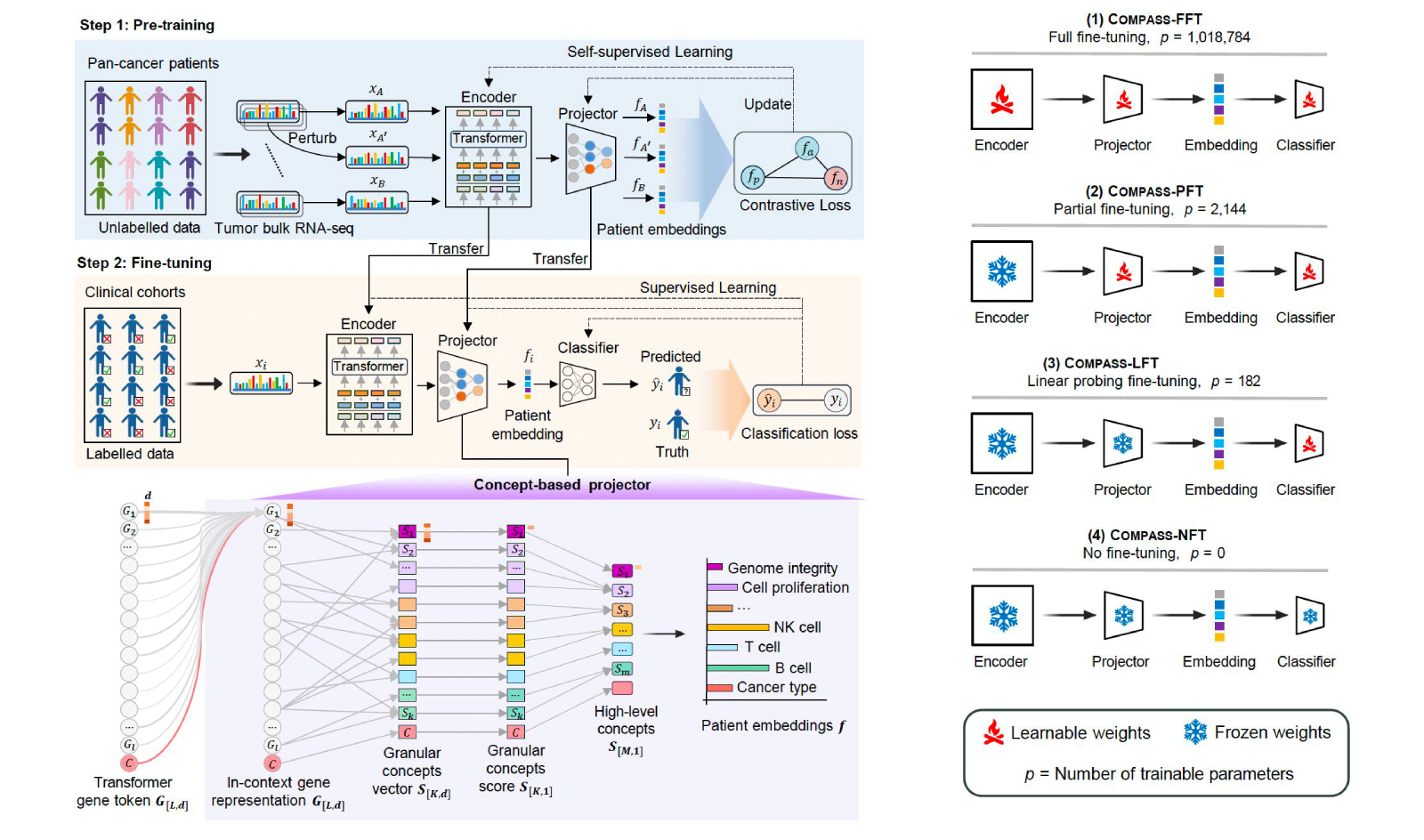 Harvard and Roche Develop Foundation AI Model to Predict and Explain Immunotherapy Response ...