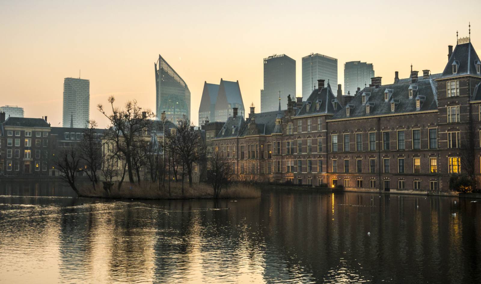Netherlands Outlines 2040 Biotech Vision, Emphasizing Tools ...