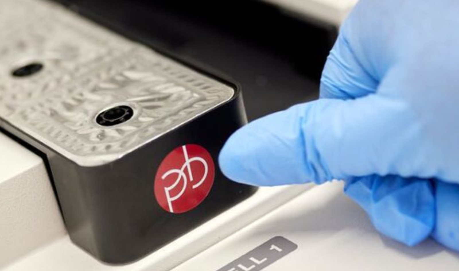 Sanger and PacBio Launch Long-Read Effort to Decode Immune Gene Activity