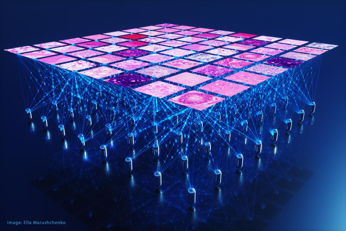 Proscia Releases Concentriq Embeddings and AI Toolkit for Digital ...