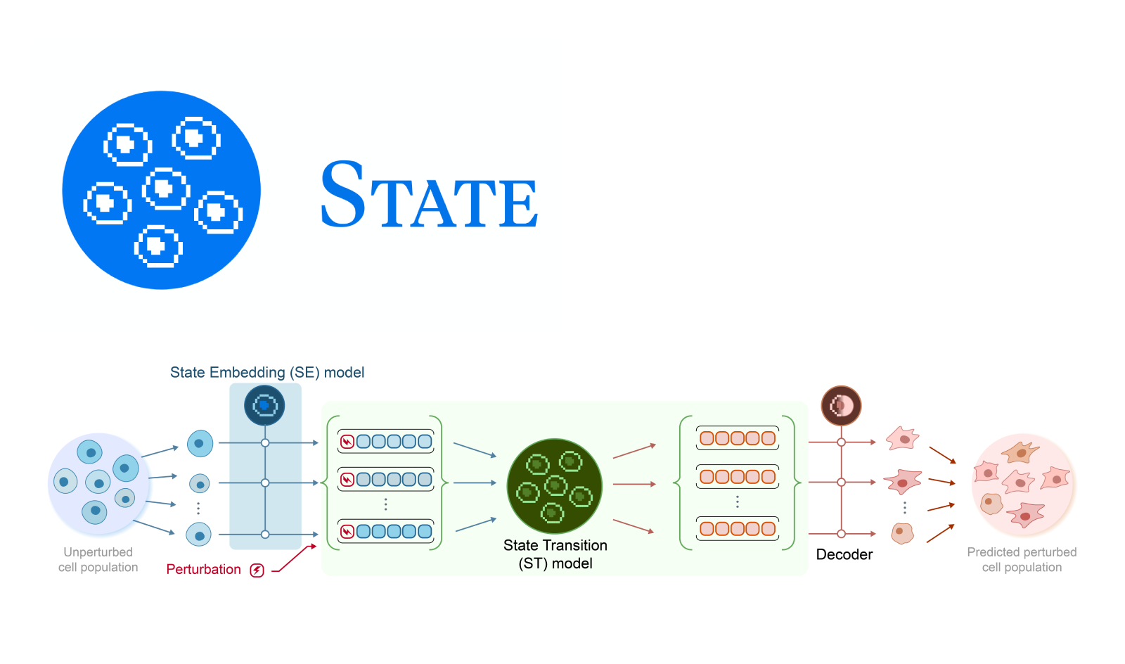 Arc Institute Releases its First Virtual Cell Model