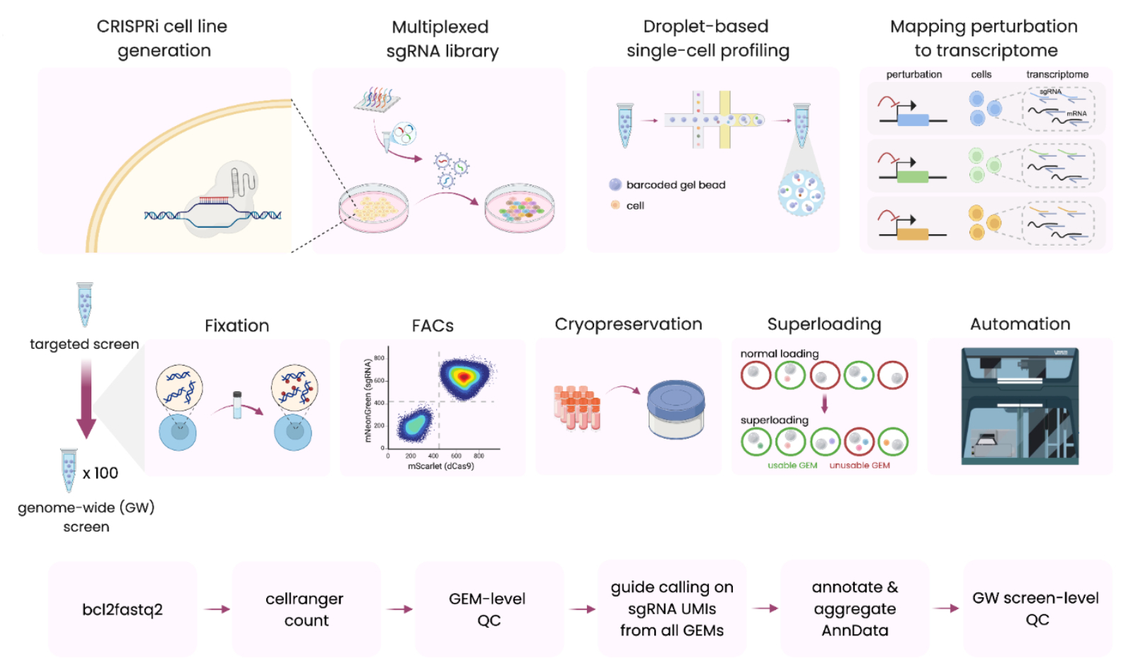 Xaira Publishes Largest Public Perturb-seq Atlas to Advance Virtual Cell Modeling