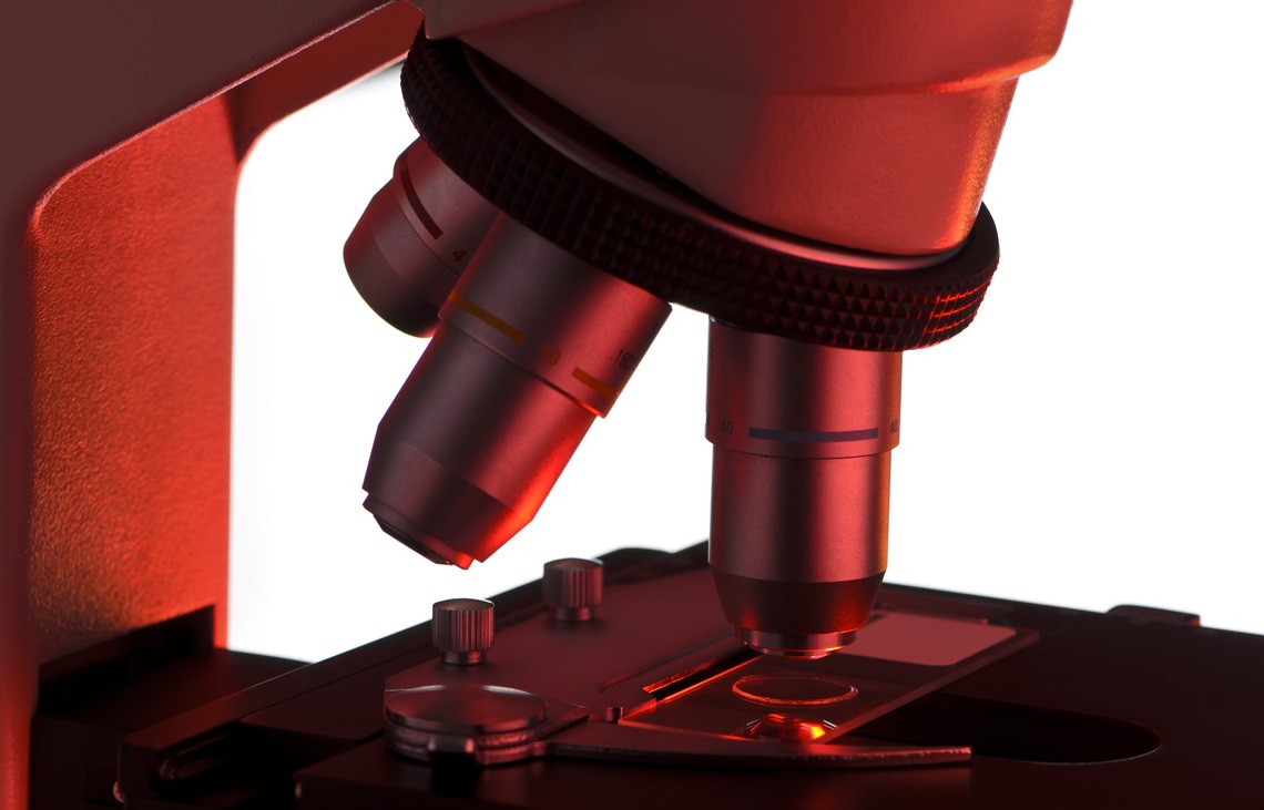 Indica Labs Introduces HALO AI Apps for Enhanced Life Sciences Image Analysis