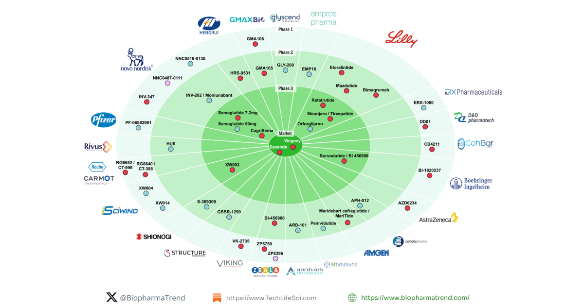 A Booming Anti-Obesity Drug Discovery Landscape at a Glance (With ...