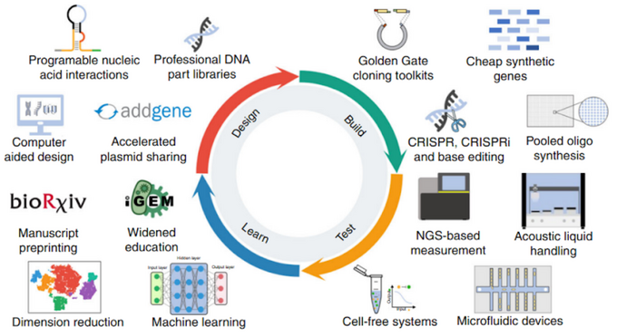 The Rise of Synthetic Biology Platforms The Rise of Synthetic Biology Platforms